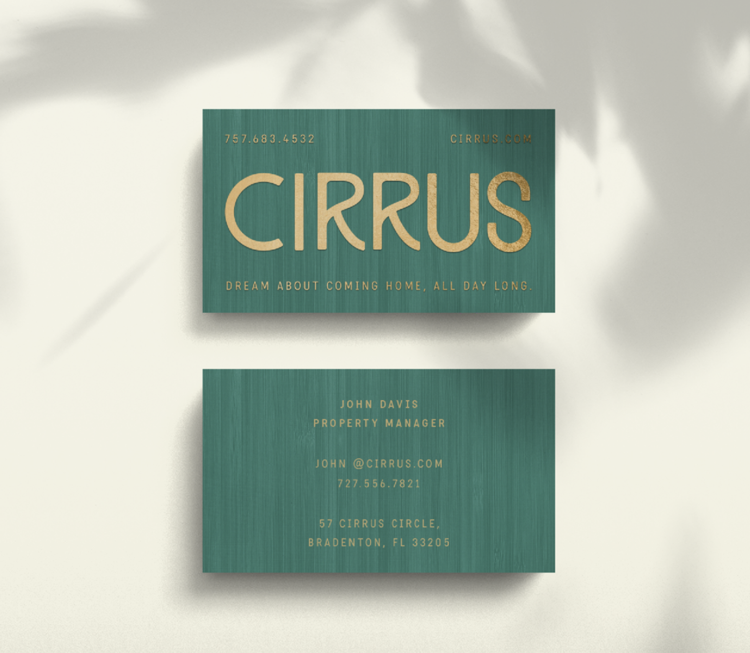 Cirrus - St Pete Branding Agency - Hype Group