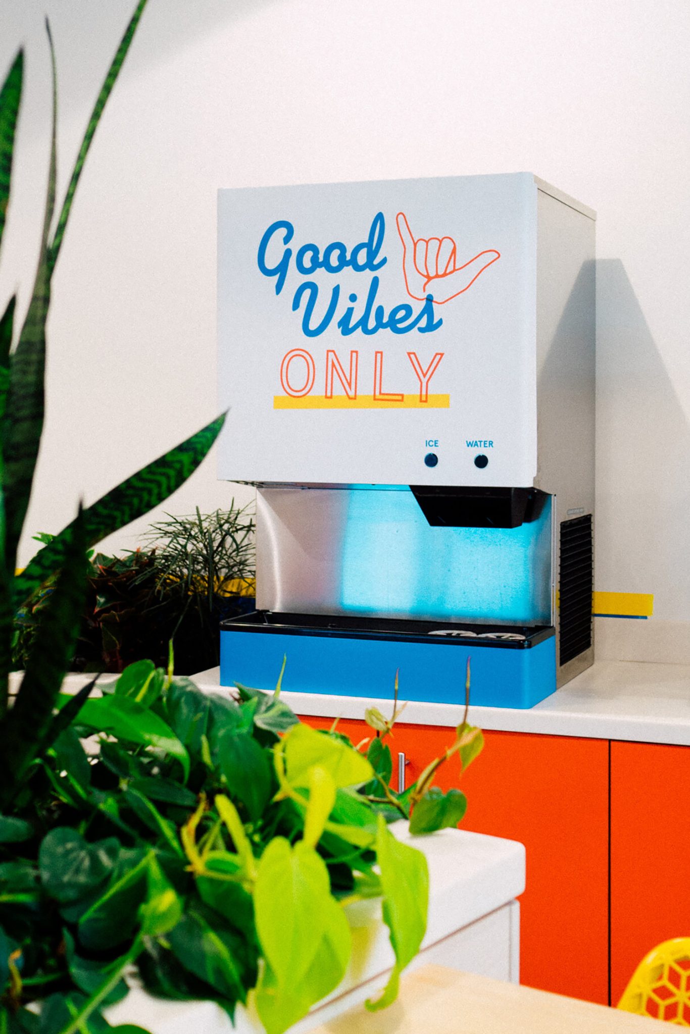 Pacific Counter - St Pete Branding Agency - Hype Group